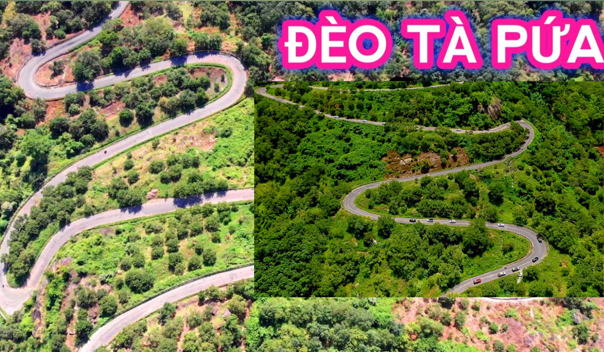 Kinh nghiệm lái xe an toàn đường đèo sương mù phượt Đà Lạt - Saladin bảo hiểm công nghệ: Tự tin ...