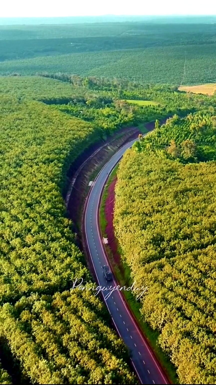 Kinh nghiệm lái xe an toàn đi phượt Pleiku từ Sài Gòn - Saladin bảo ...