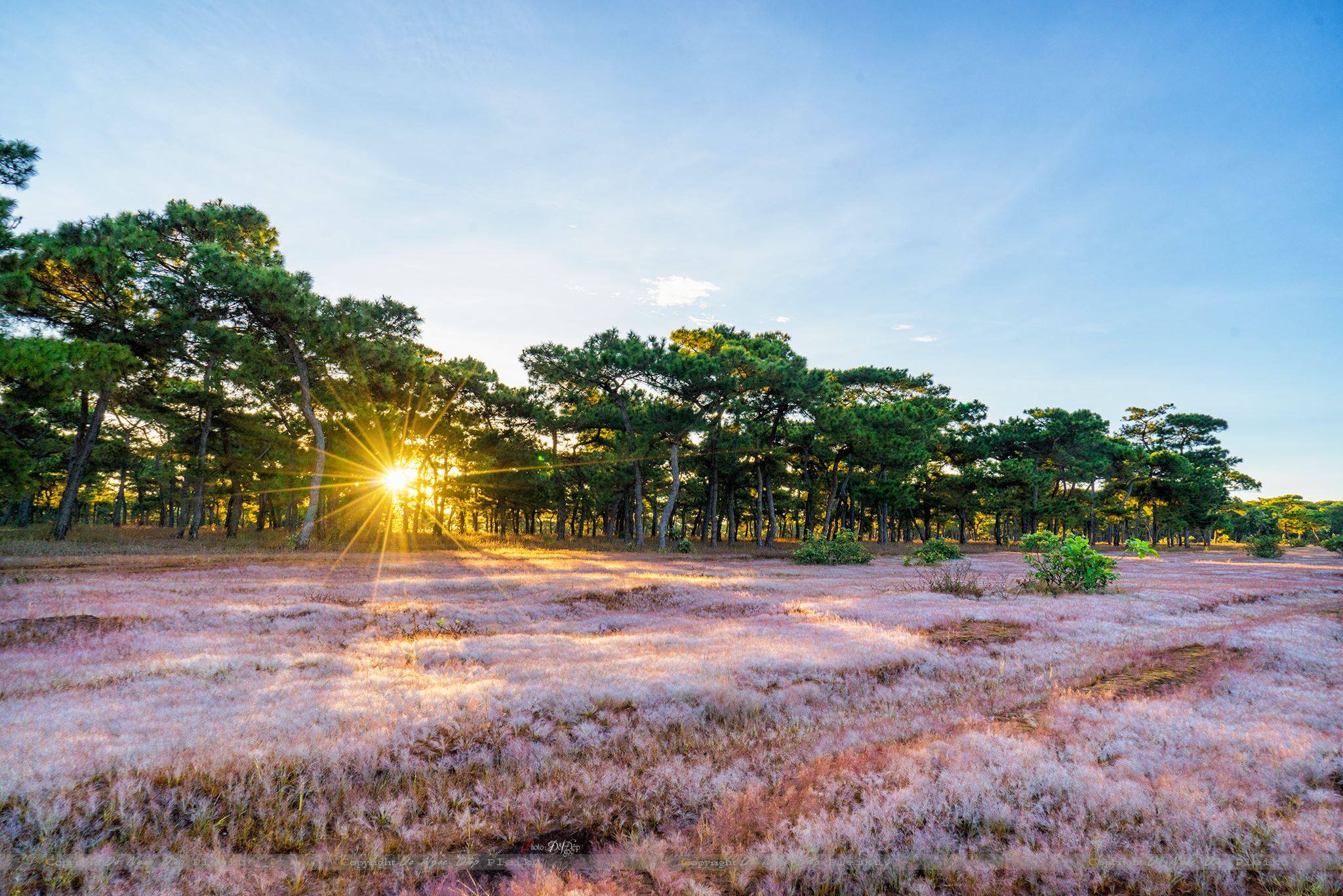 Kinh nghiệm lái xe an toàn đi phượt Pleiku từ Sài Gòn - Saladin bảo ...